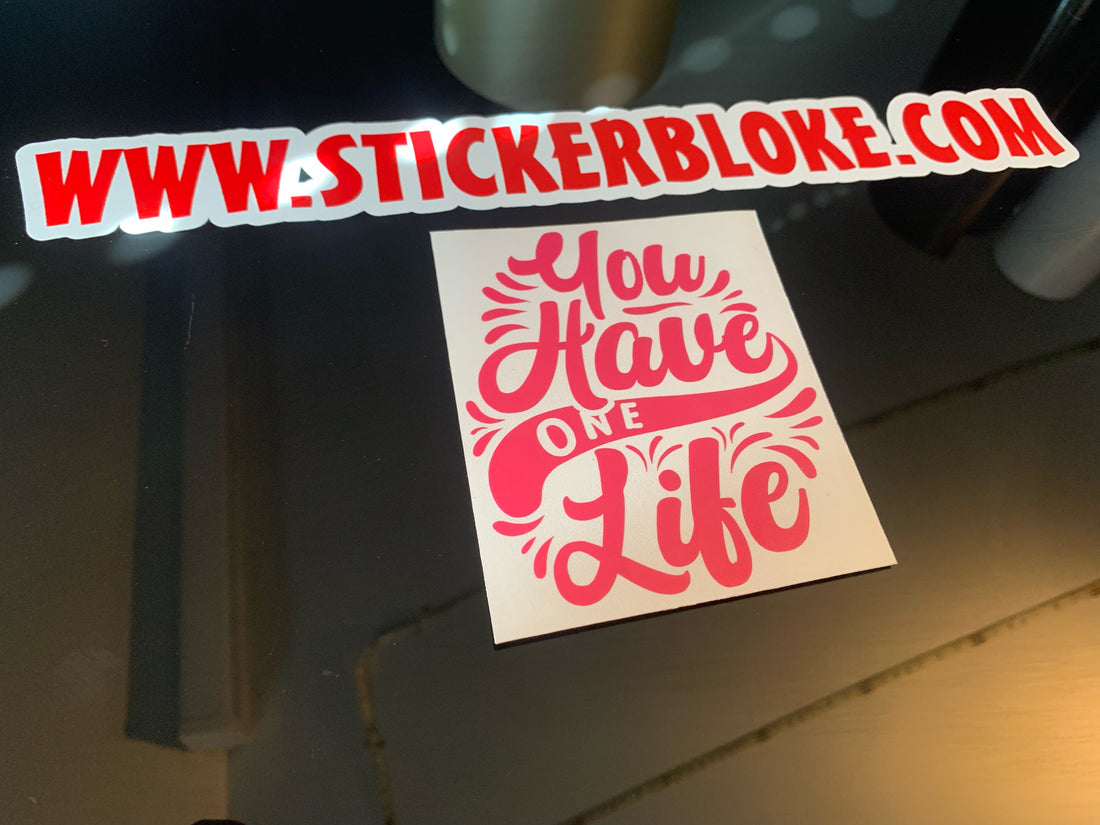 YOU HAVE ONE LIFE STICKER – STICKERBLOKE
