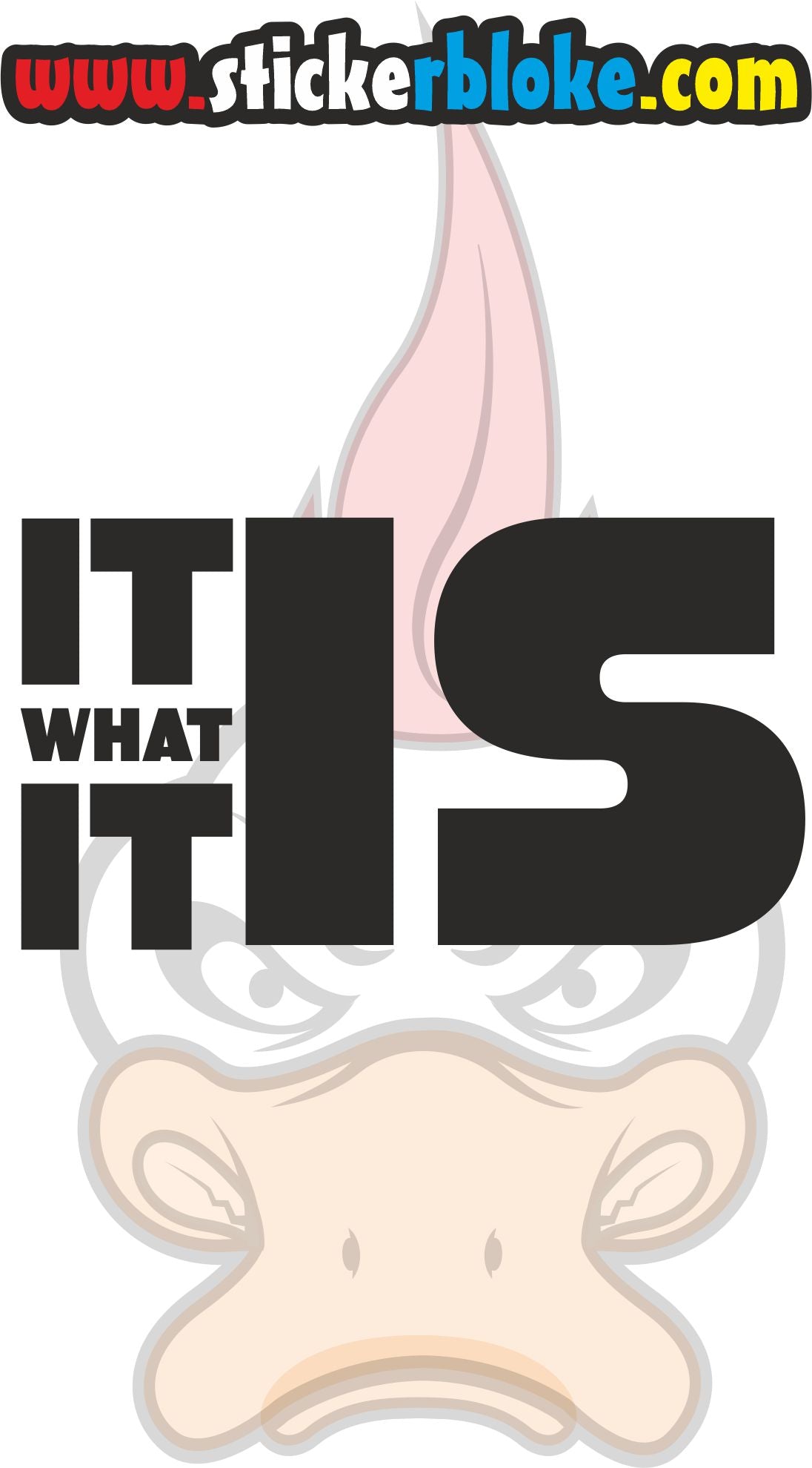 IT IS WHAT IT IS STICKER – STICKERBLOKE